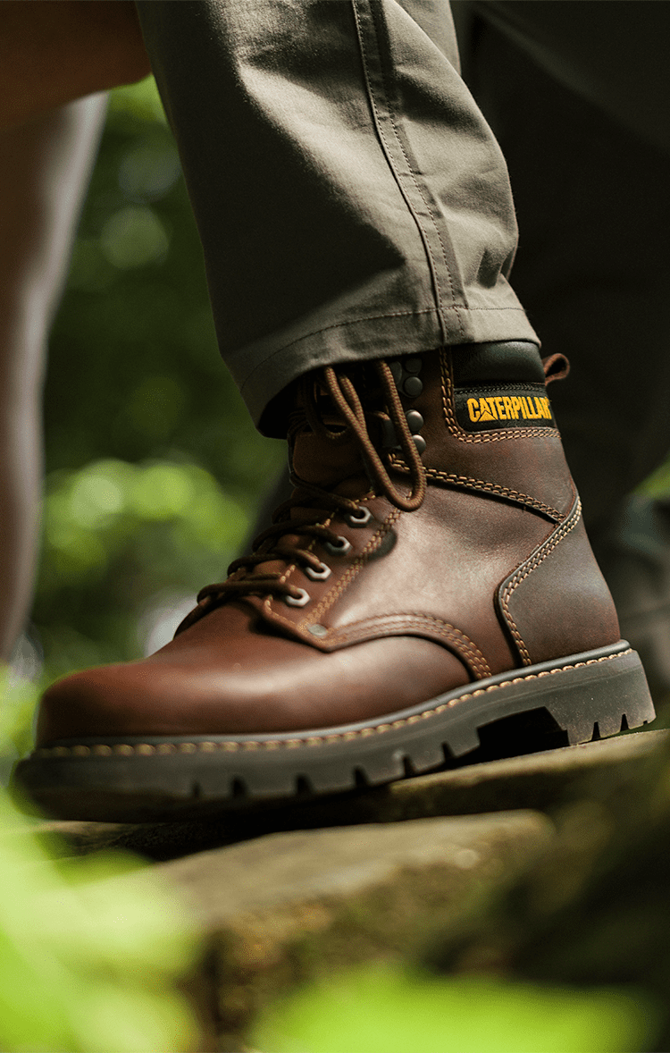 Caterpillar-original – caterpillar